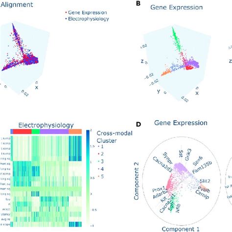 Overview Of Mangem Multimodal Analysis Of Neuronal Gene Expression Download Scientific