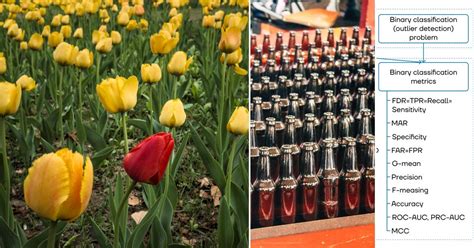 List Anomaly Detection Curated By Ehsan Afshar Medium