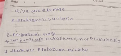 Give One Example 1 Prokaryotic Bacteria 2 Prokaryotic Fungi The Fungi Are Eukaryotic Not