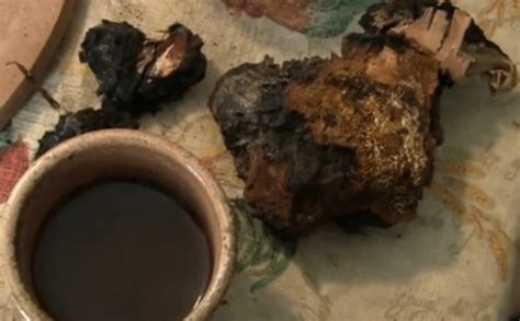 When The Going Gets Cold Mushroom Hunters Get Going VIDEO Grist