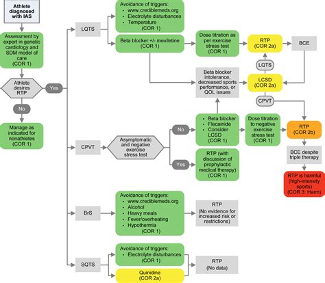2024 Hrs Expert Consensus Statement On Arrhythmias In The Athlete Evaluation Treatment And