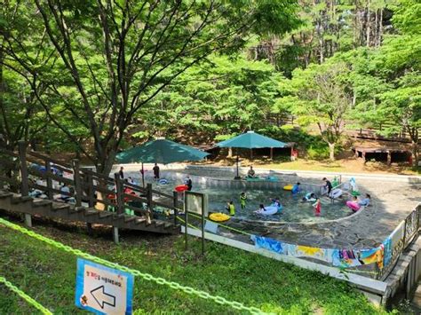 영천은 물놀이장 천국 이번 여름 물놀이 영천에서 즐기세요