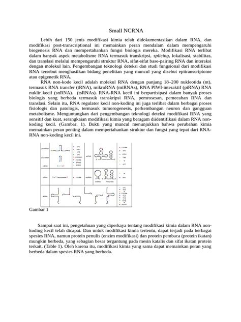 Small Ncrna Pdf