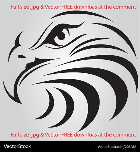 Flying Eagle Outline Vector Images Over 8 200