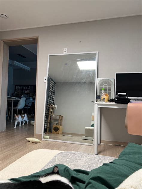 침실 전신거울 위치 질문드립니다 지식in