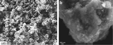 The Sem Micrographs Of Nvpc 600 A And Nvpc02ag 600 800 B