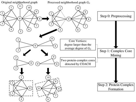 4 The Identification Of Core And Attachment Proteins In Coach 75