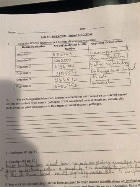 Name Date Lab 7 Unknown Virtual Api 20e Lab 1