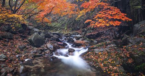 ПСС Условията за туризъм в планините са добри
