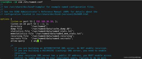 linux基础——dns服务器原理及搭建 linux dns服务器搭建 csdn博客