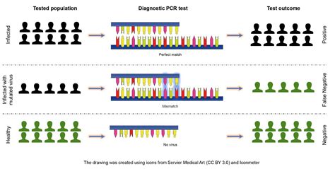 Putting COVID Diagnostic Tests To The Test How Do They Hold Up