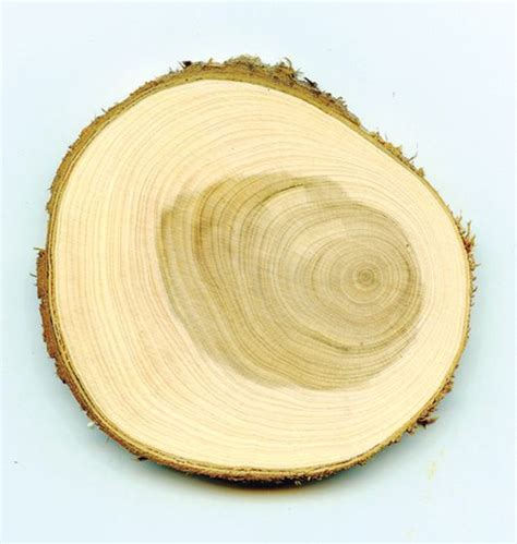 Juniper Tree Round