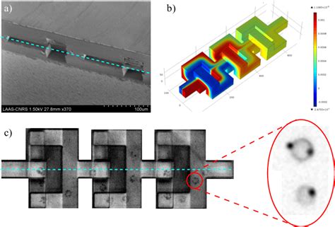 A Sem Image Of A 3d Micromixer Cross Sectional View 2 Loops Are