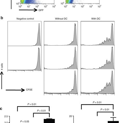 Proliferation Of Splenic Cd8 T Cells From Ot 1 Mice In Dendritic Cell Download High