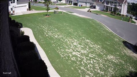 Tall Fescue To Northbridge Bermuda Page 3 Lawn Care Forum