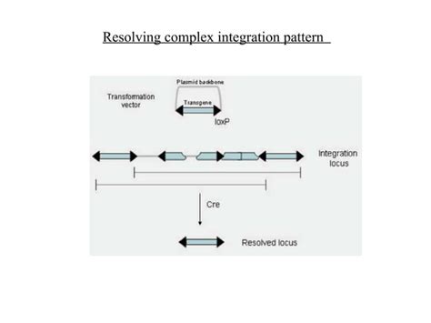 Recombination Based Transformation Technologies Ppt