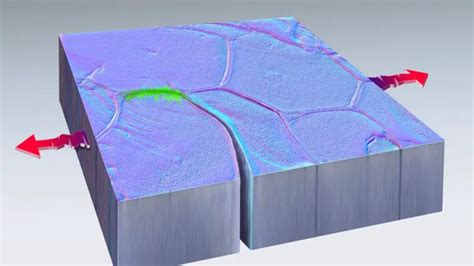 Scientists Identify A Gene Critical For Male Sex Development