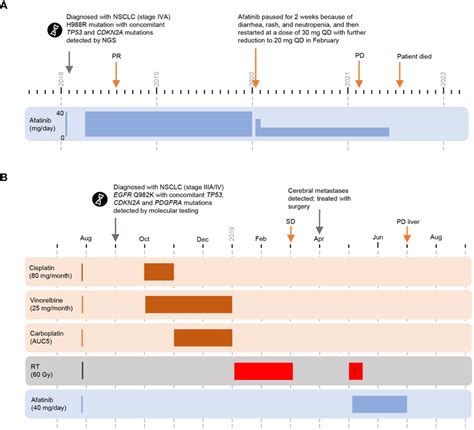 Cases 5 And 6 Novel Substitution Mutations A Timeline Of Case 5