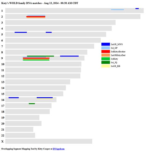 When Is A Dna Segment Match A Real Match Ibd Or Ibs Or Ibc Kitty