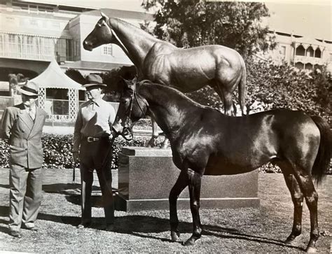 Wild This Is An Original Undated Photo Of Seabiscuit In Front Of His