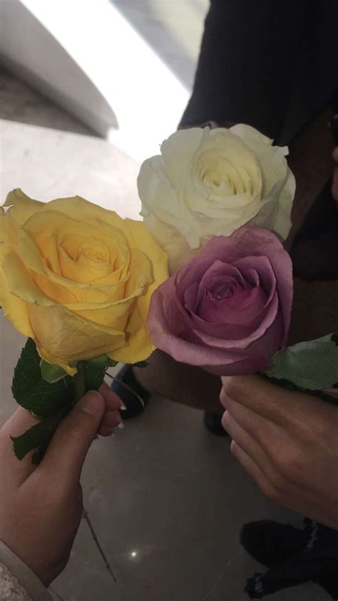 ئارامگرتن ئەوەیە سەیری دڕک بکەیت و گوڵ ببینی، سەیری شەو بکەیت و