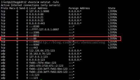 linux下ipv6配置系列三：如何为nginx配置ipv6端口监听 linux nginx如何修改默认端口号并开启ipv6监听 csdn博客