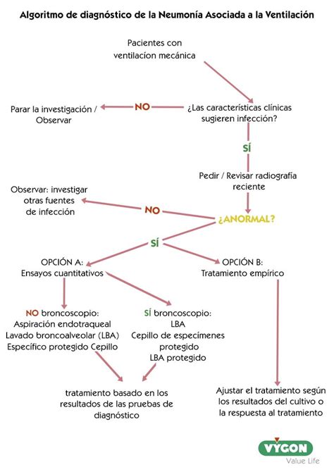 Cómo Diagnosticar La Infección Pulmonar O Neumonía Asociada A La Ventilación