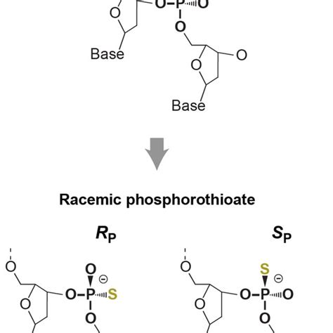 Application Of Racemic Phosphorothioate For The Resonance Assignments Download Scientific