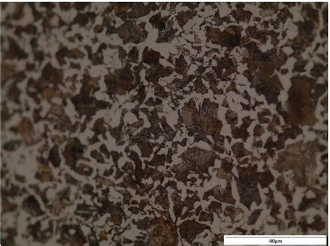 Perlite Ferrite Microstructure Of The Sae 1045 Steel After