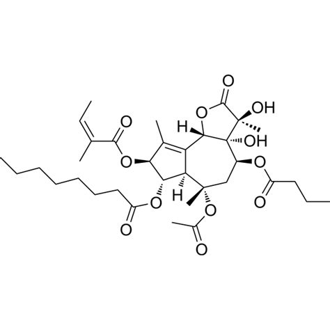 Thapsigargin Er Stress Inducer Medchemexpress