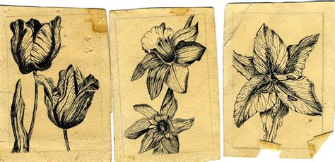 Auntie Peg Tom Kerr Art