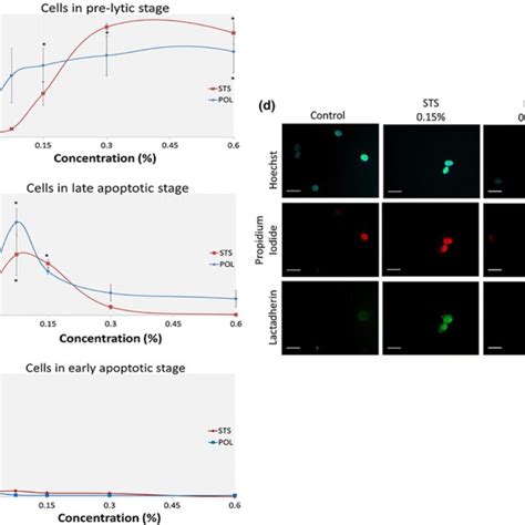 Apoptotic Stages Flow Cytometry Demonstrated The Stages Of Cell