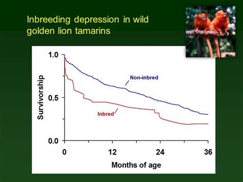 Inbreeding Depression
