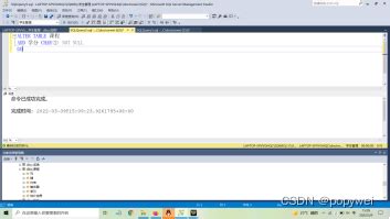 实验二 SQL的数据定义功能 sql server专题实验2 sql的数据定义功能 CSDN博客
