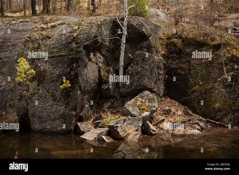 Tree Growing Out Rock High Resolution Stock Photography And Images Alamy