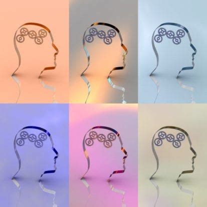 Scientists Get 3 2 Million To Study Brain Mechanisms Underlying Sex Differences In Social