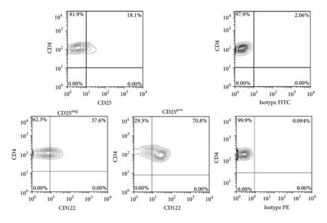 Gating Strategy To Determine Cd122 Expression On Cd25pos Cd4⁺ T Cells