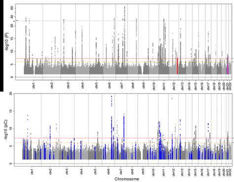figure s2 manhattan plots of association statistics log10 p values