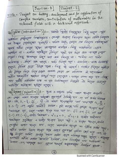 Math Project Class 11 Section B Project On History Of Complex Numbers Pdf