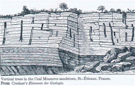 Polystrate Fossils Creation Testifies