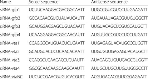 Sirna Sequences Developed Against Gfp And Vta2 Download Table