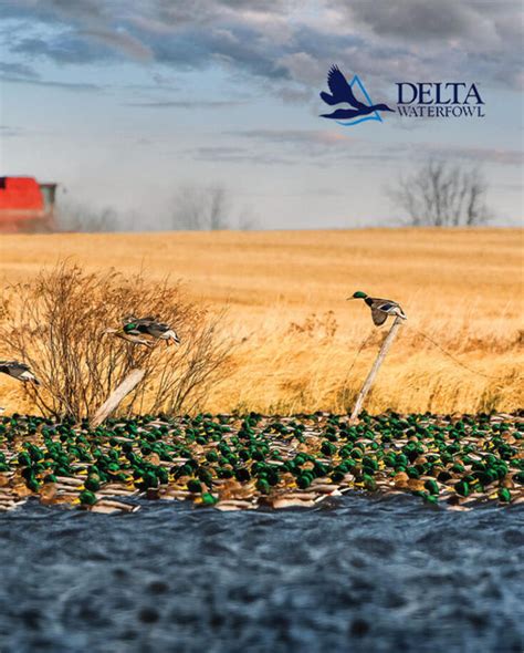 Conservation Partners Turtlebox