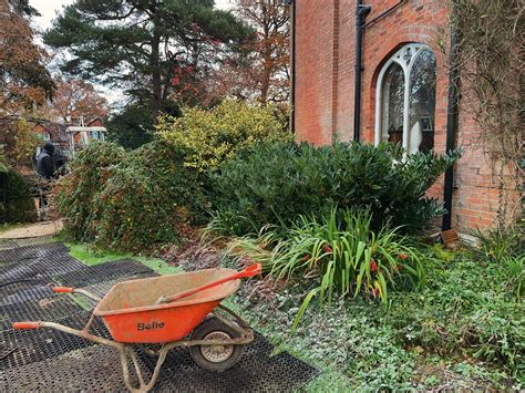 This Border Is Ready For A Revamp And Garden Inspiration