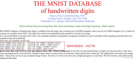 mnist数据集下载 —— 数据集提供百度网盘下载地址 mnist json gz 下载 csdn博客
