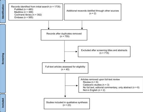 Female Sex Capsular Laxity And Heightened Beighton Test Score