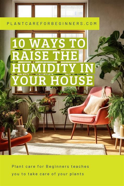 Ways To Raise The Humidity In Your House Artofit