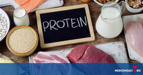 За какво служат протеините — Medconsult Bg