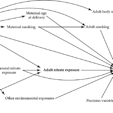 Directed Acyclic Graph Illustrating The Suggested Associations Between