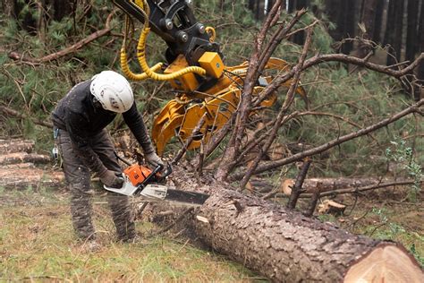 Forestry Logging Nature Free Photo On Pixabay