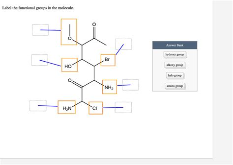 Answered: Label the functional groups in the… | bartleby